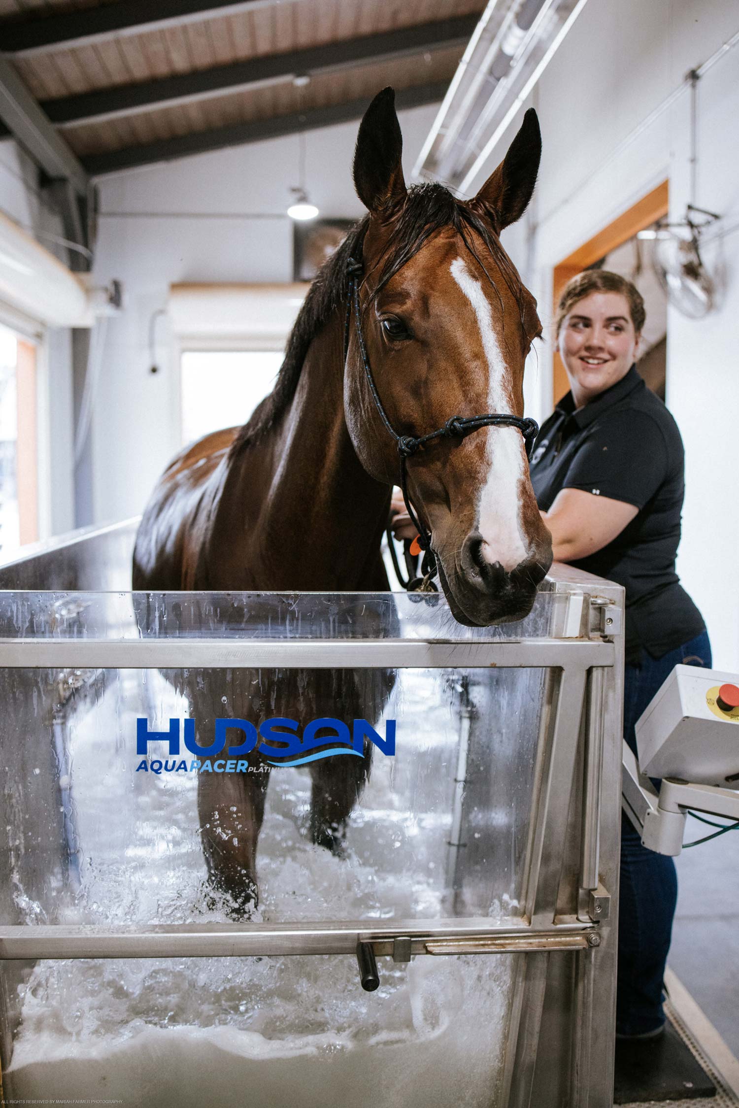 Annadale Equine Center Aqua Pacer - Hudson