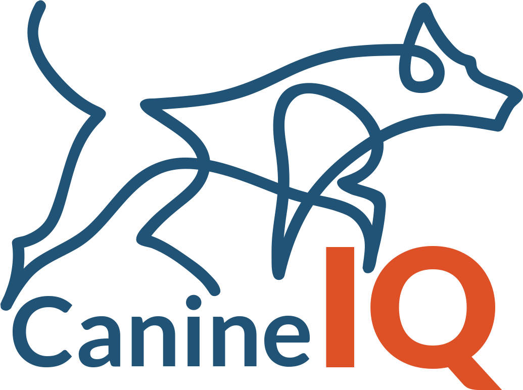 Revolutionizing Canine Rehabilitation Webinar - Hudson