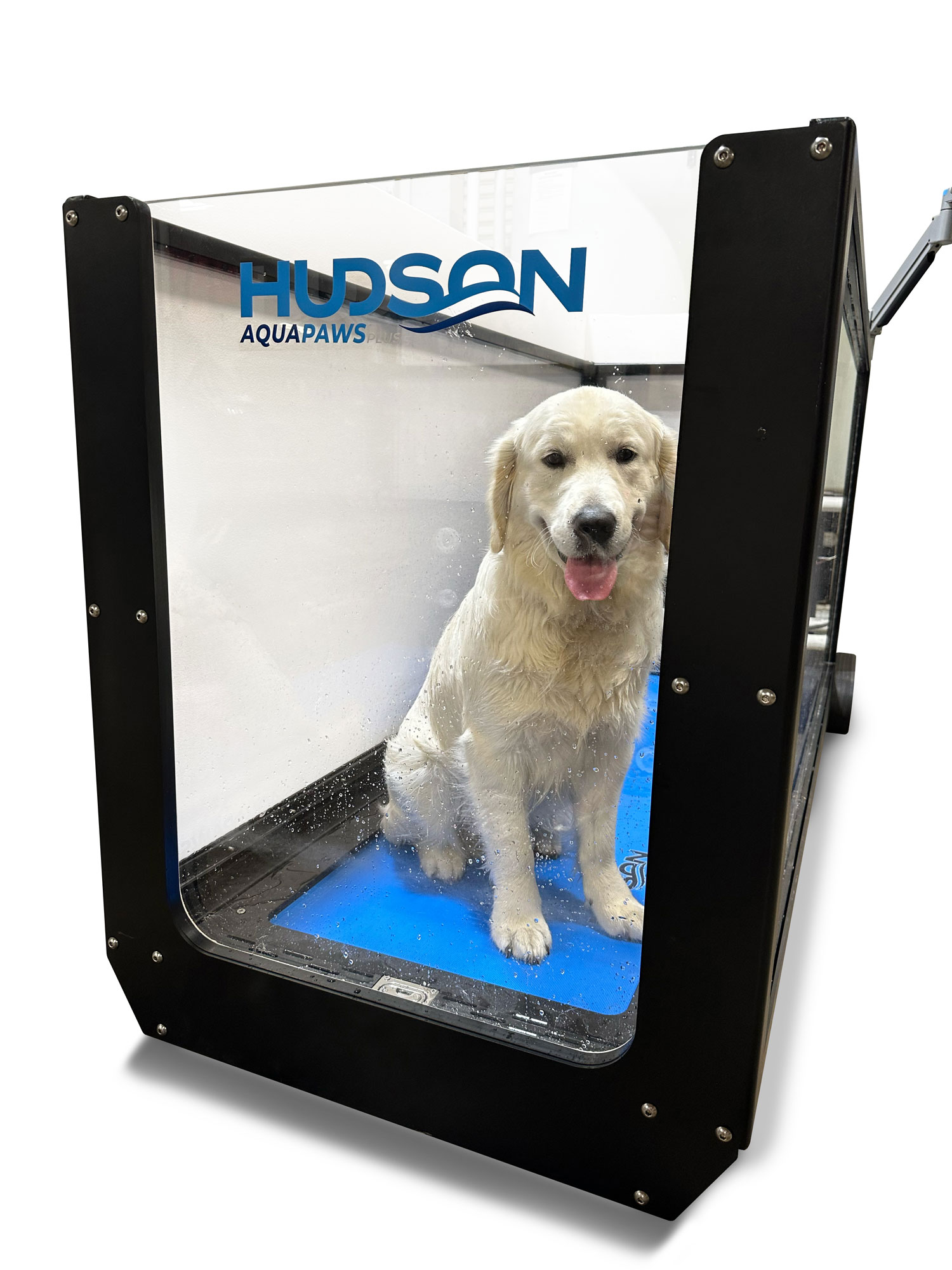 Aqua Paws Underwater Treadmill for Dogs - Hudson