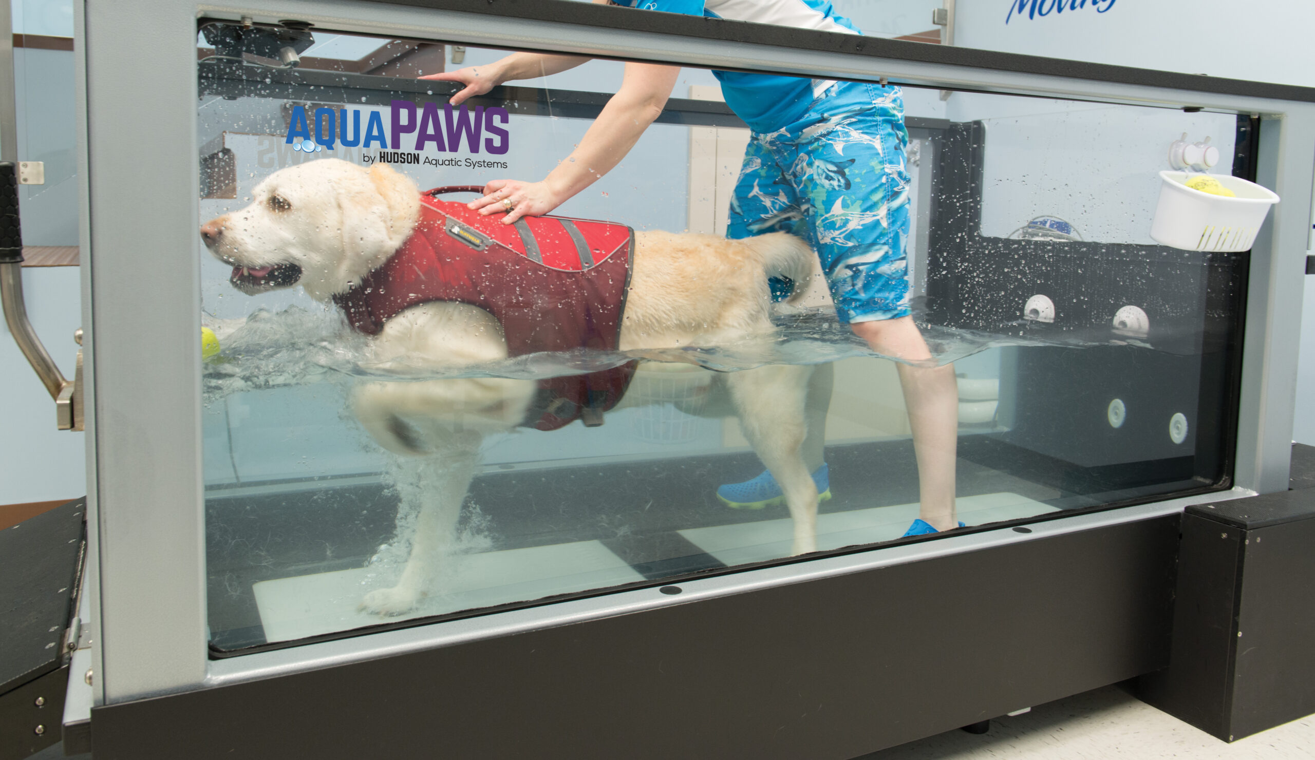 Rehab Ready Leasing Program - Hudson